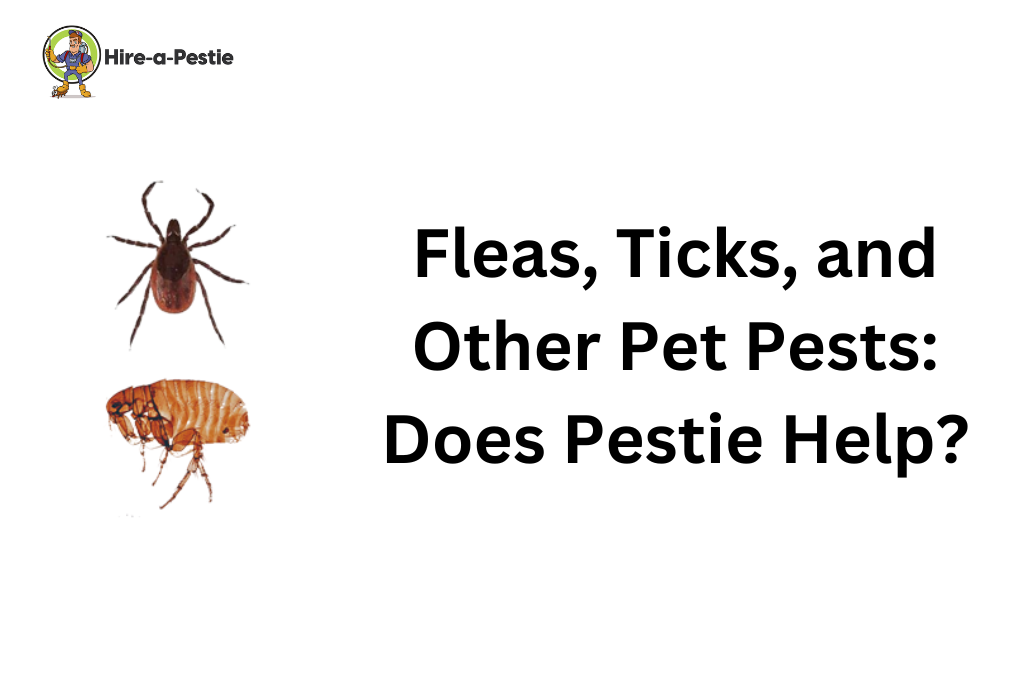 Fleas, Ticks, and Other Pet Pests: Does Pestie Help? - Hire a Pestie