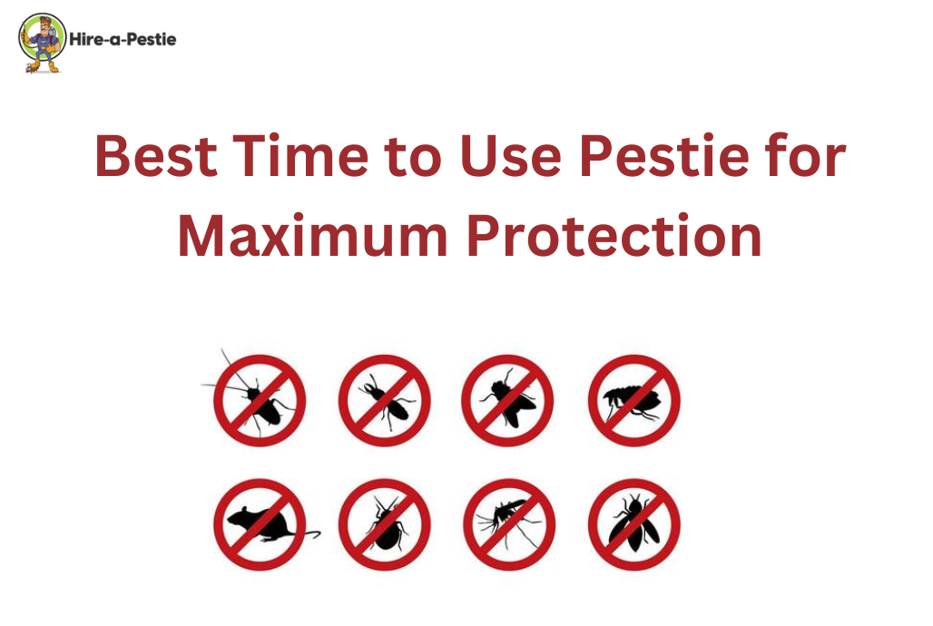 Best Time to Use Pestie for Maximum Protection - Hire a Pestie